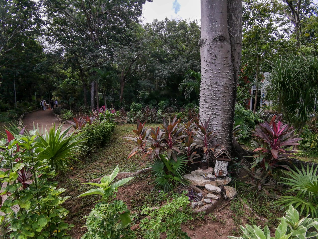 Cumple el Parque Kabah de Cancún 29 años » ¡ Uniendo al Caribe