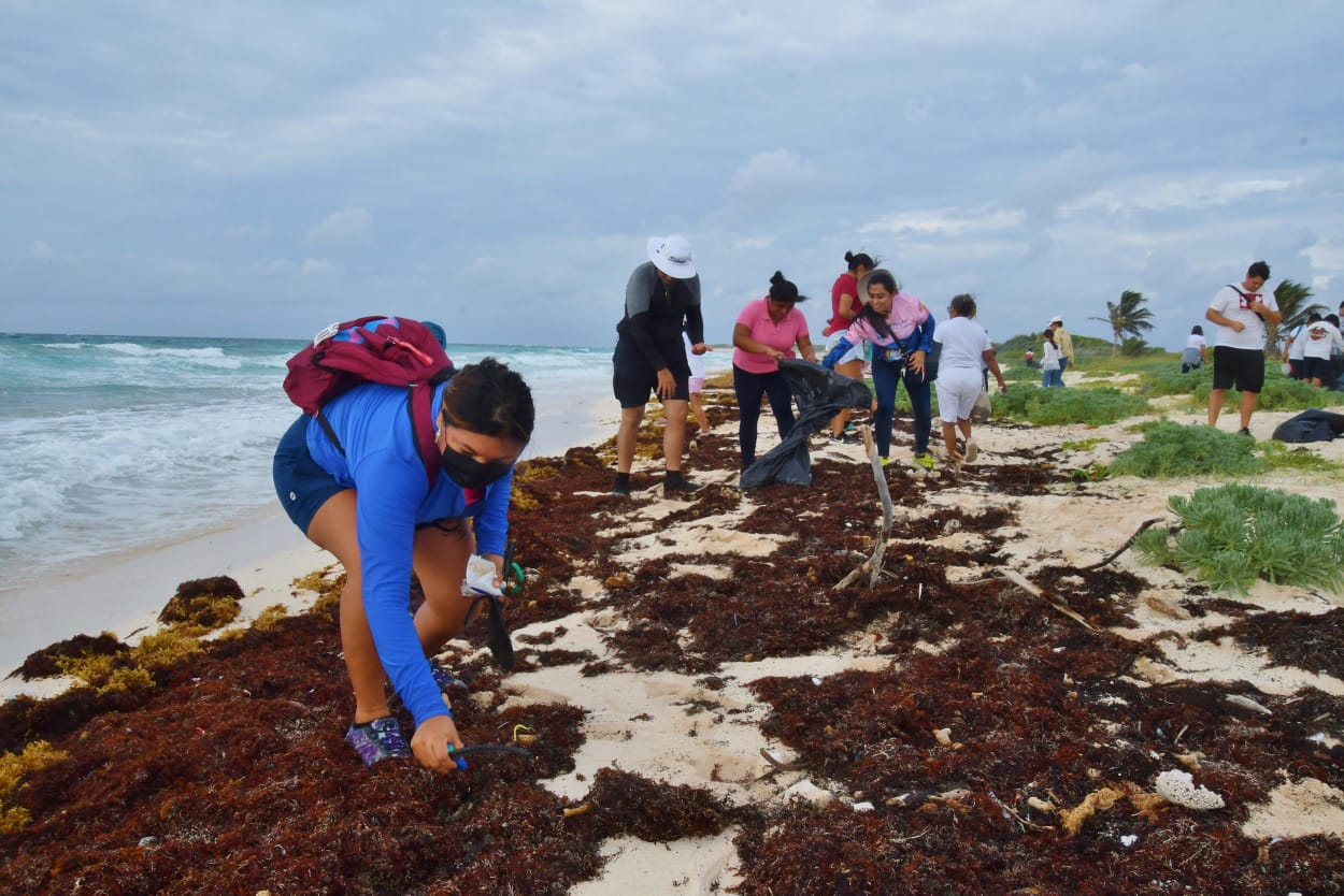 Convocan a jornada en el Parque Punta Sur de Cozumel en el marco de la ...