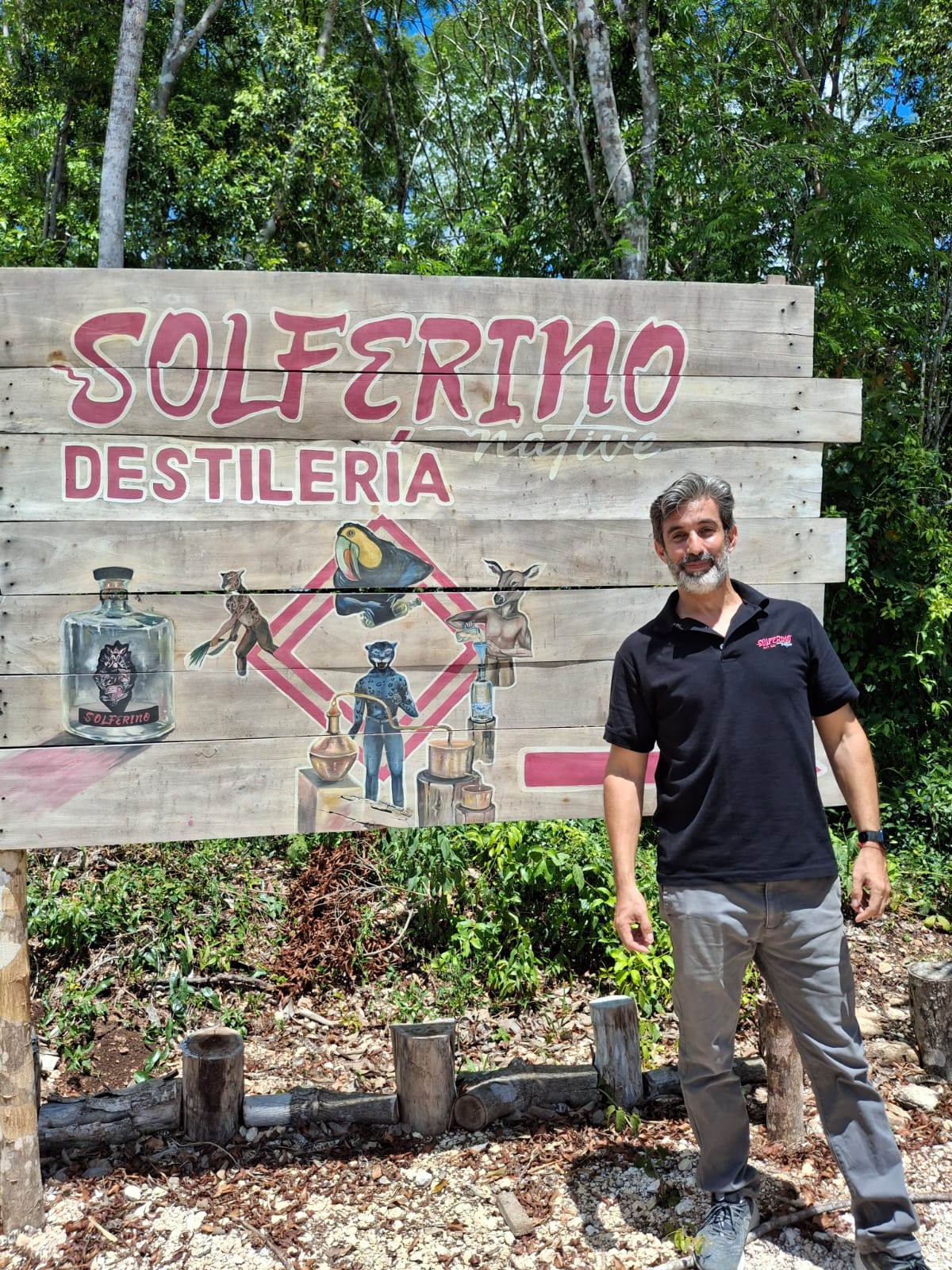Solferino Gin: Un orgullo de Quintana Roo que brilla en el mundo ...